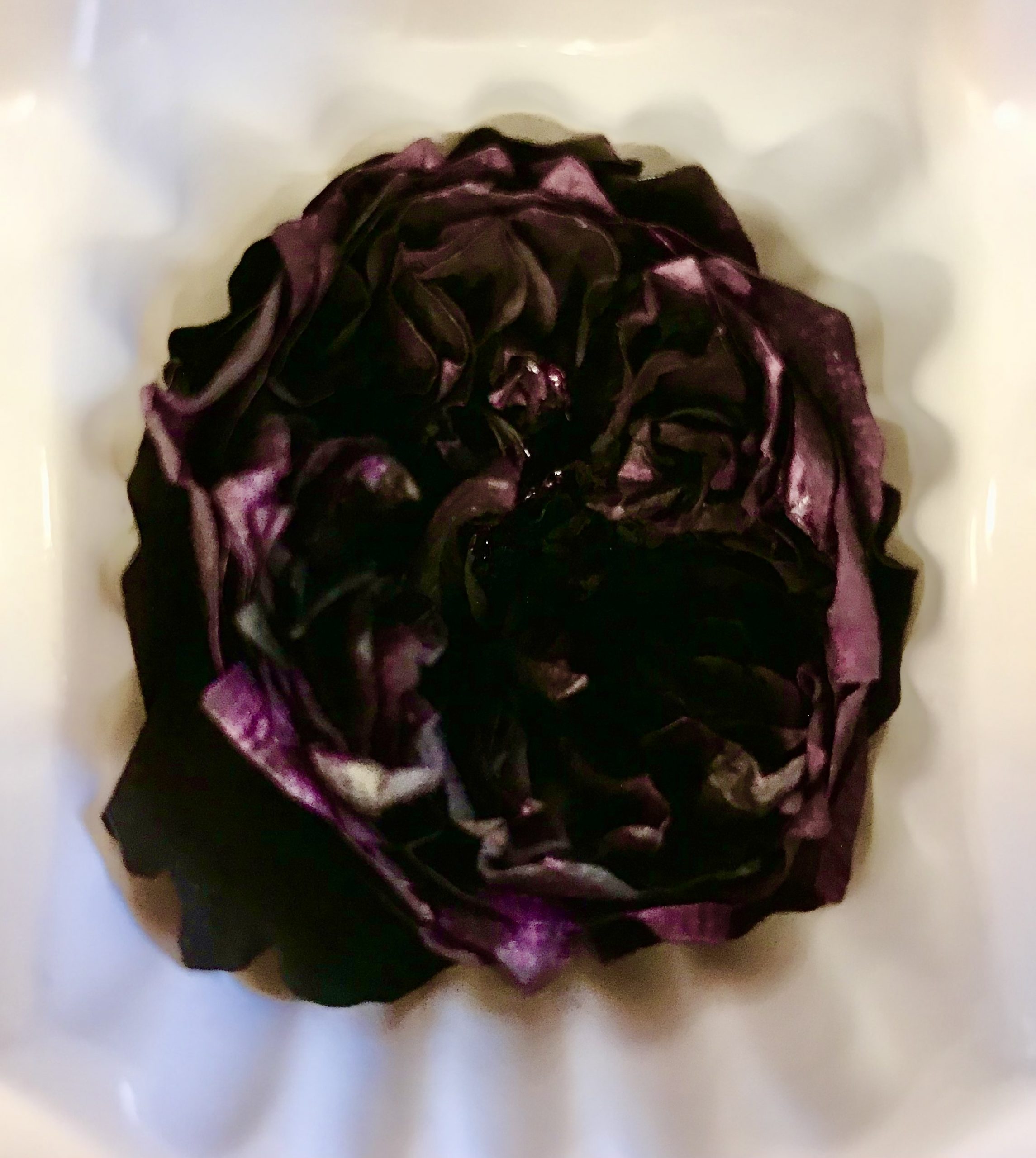 dark purple single david austin rose - A Floral Affair