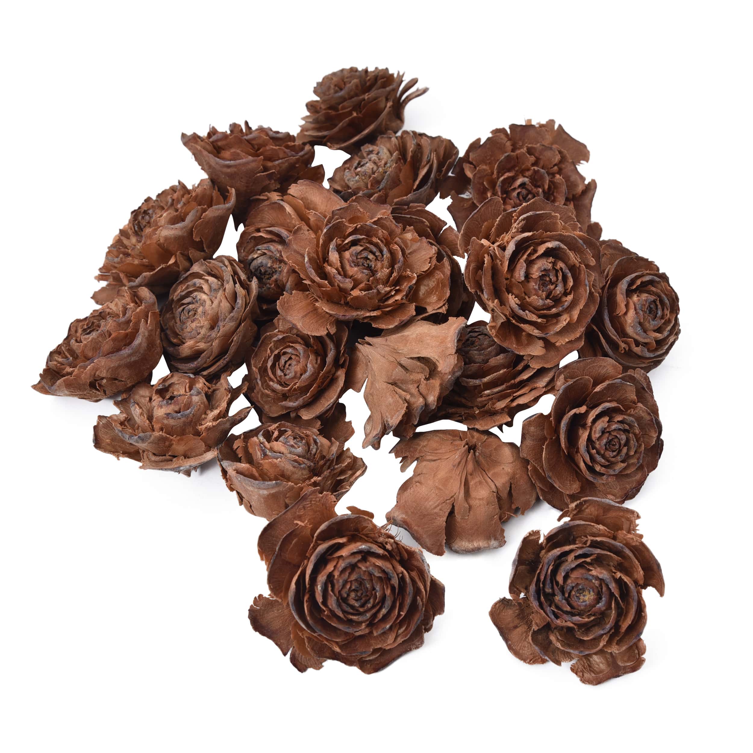 Cedar Rose About Us | Cedar Rose